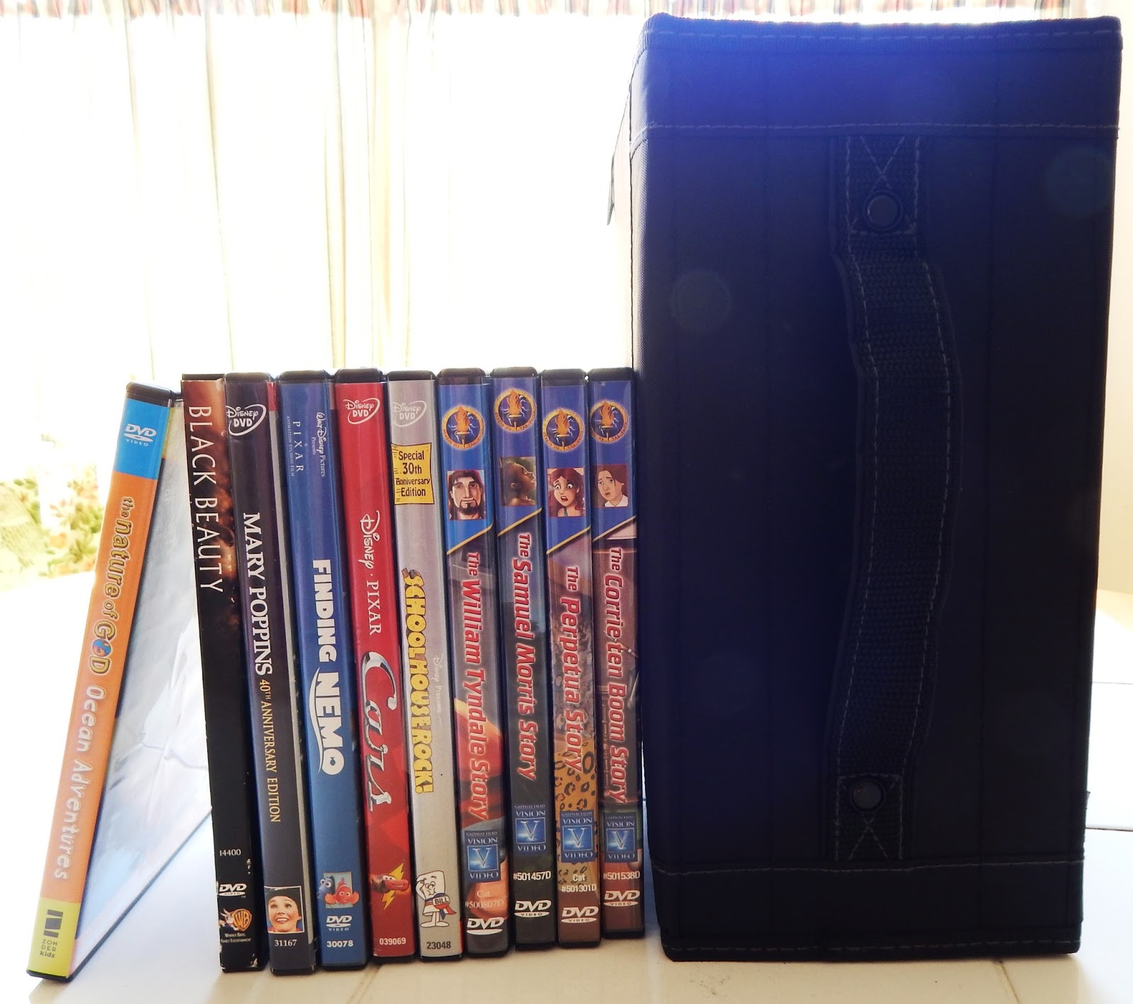 Organizing DVDs and CDs for Small Spaces - Proverbs 31 Homestead