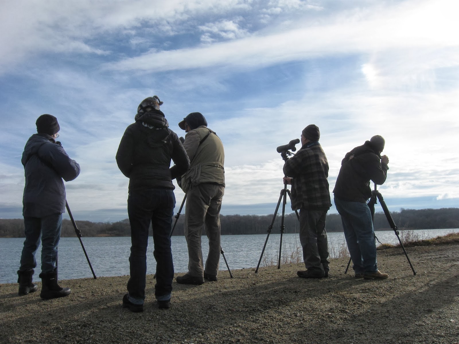 New England Nature Notes: December birding in Rhode Island brings my ...