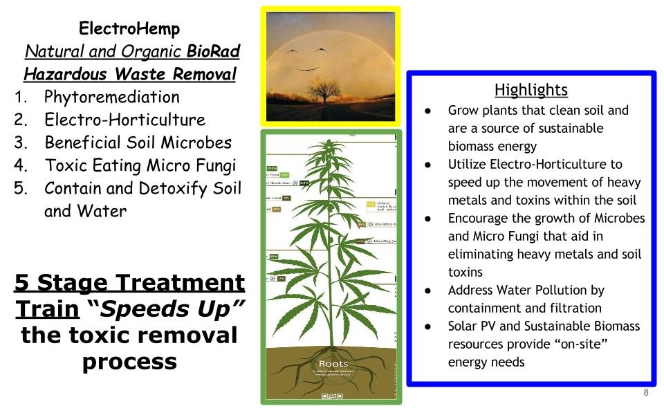 The Pollution Solution : Phytomining: Plant biomass containing ...