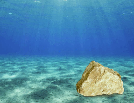 Jerdee's Art Classes: Digital Art | Underwater Ocean Scene