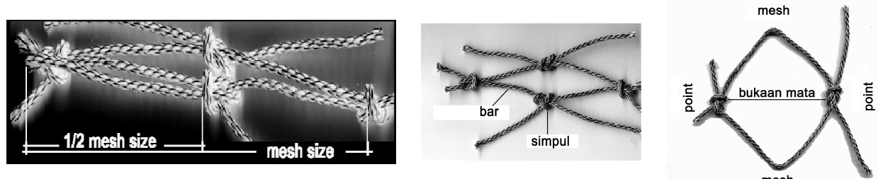 CARA MENGUKUR MATA JARING | Teknologi Penangkapan Ikan 49