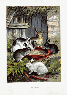 bumble button: Darling Victorian Rabbits and Bunnies From Children's ...
