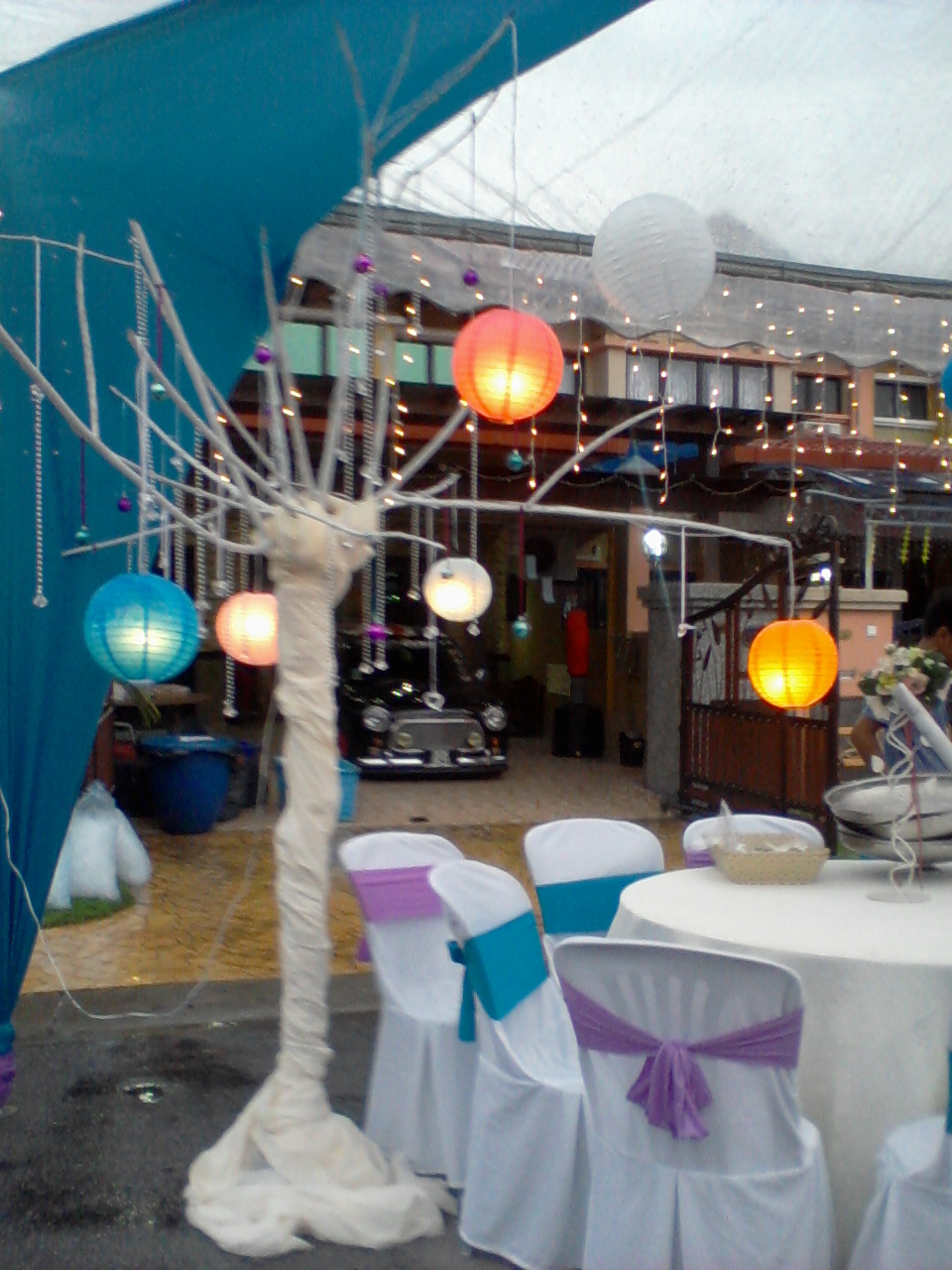 D ShaYaNa CreAtion GallerY: dekorasi lantern & pokok ranting-mona 27/11 ...