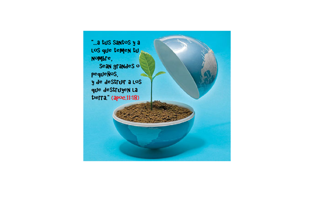 Eco Renuevos : Biólogos con propósito