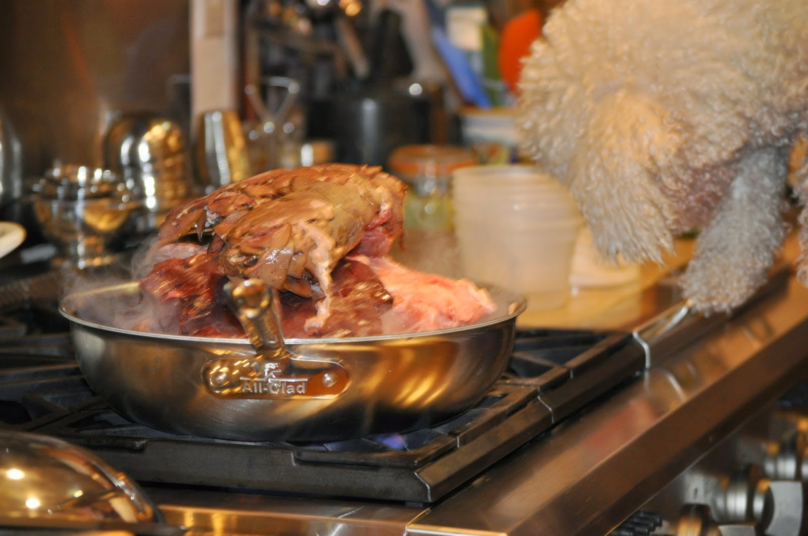 silvieon4: Tasty Tuesday OFFAL the DELICIOUS