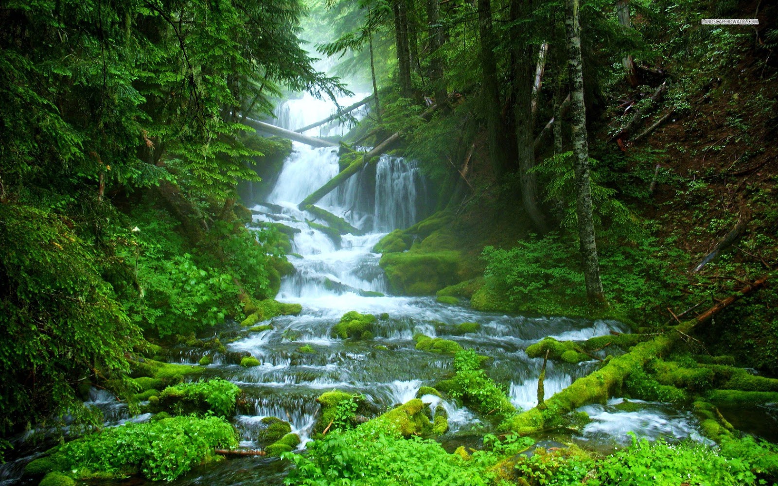 Singapore Man of Leisure: The River Story if you don't like Up Mountain ...