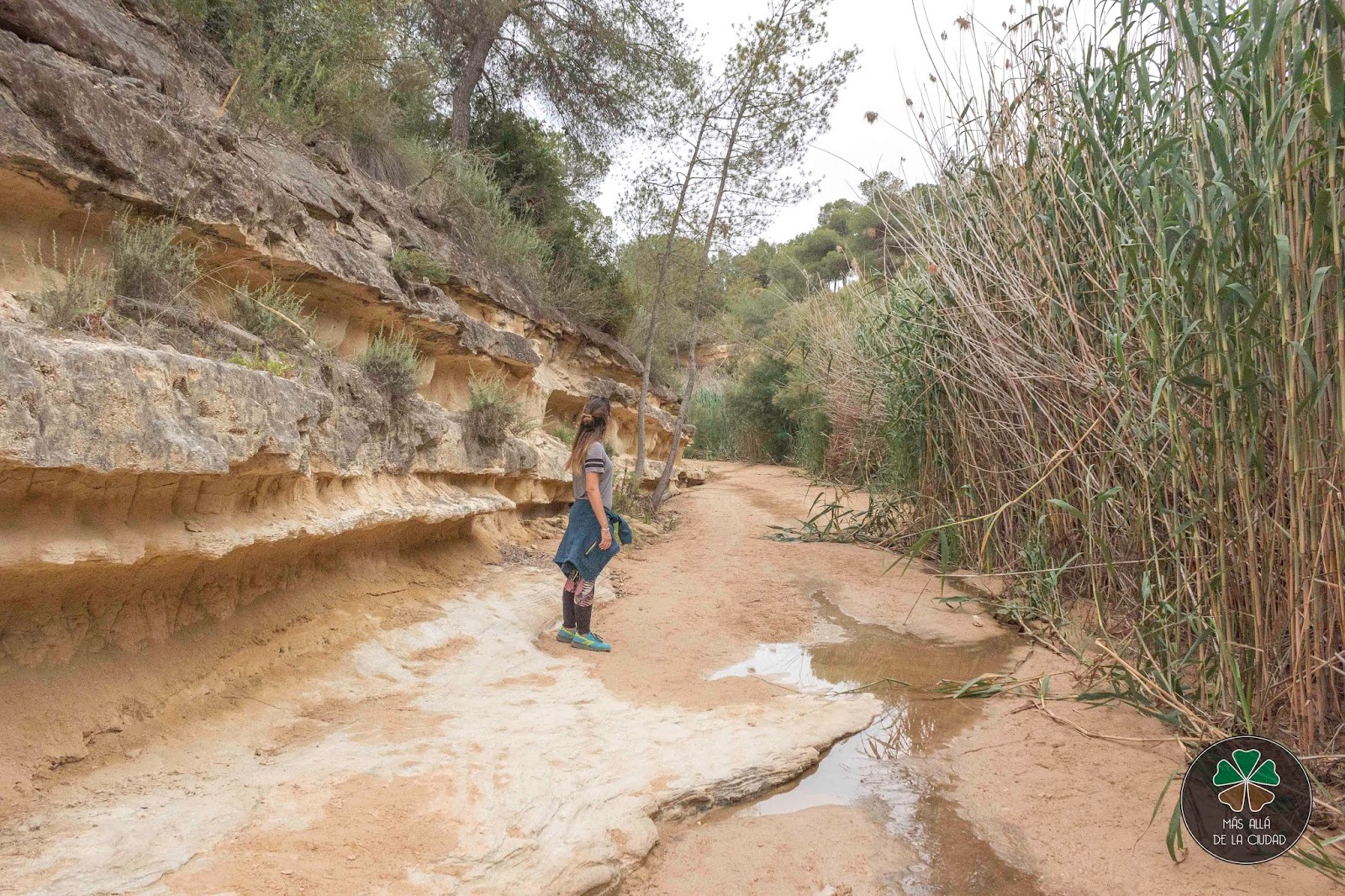 Ruta por el Río Seco (Pilar de la Horadada)