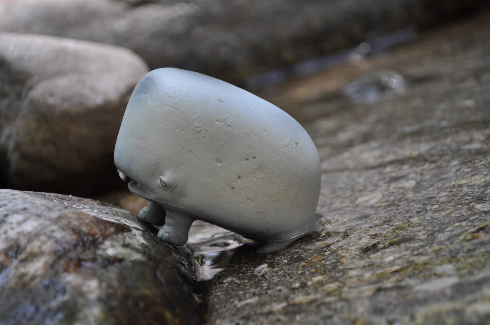 Terrarium & Timmy: have you ever seen a whale with legs