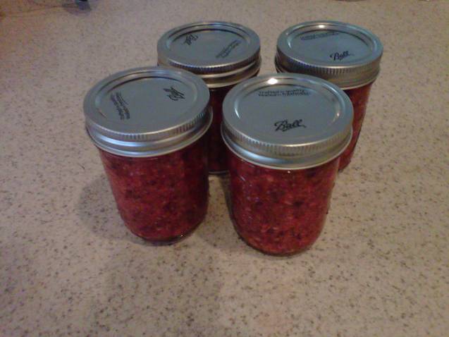 Spots and Dots: Native Americans (freebie), cranberry relish, and fudge...