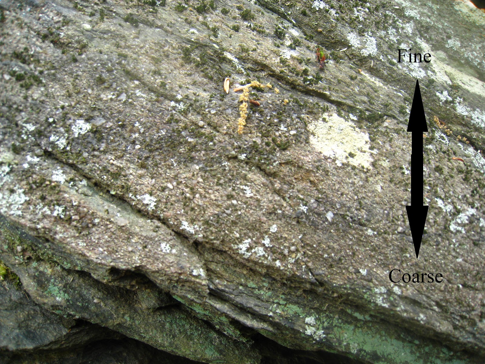 Rock HammerTime: Field Area 2: Swift Run Formation