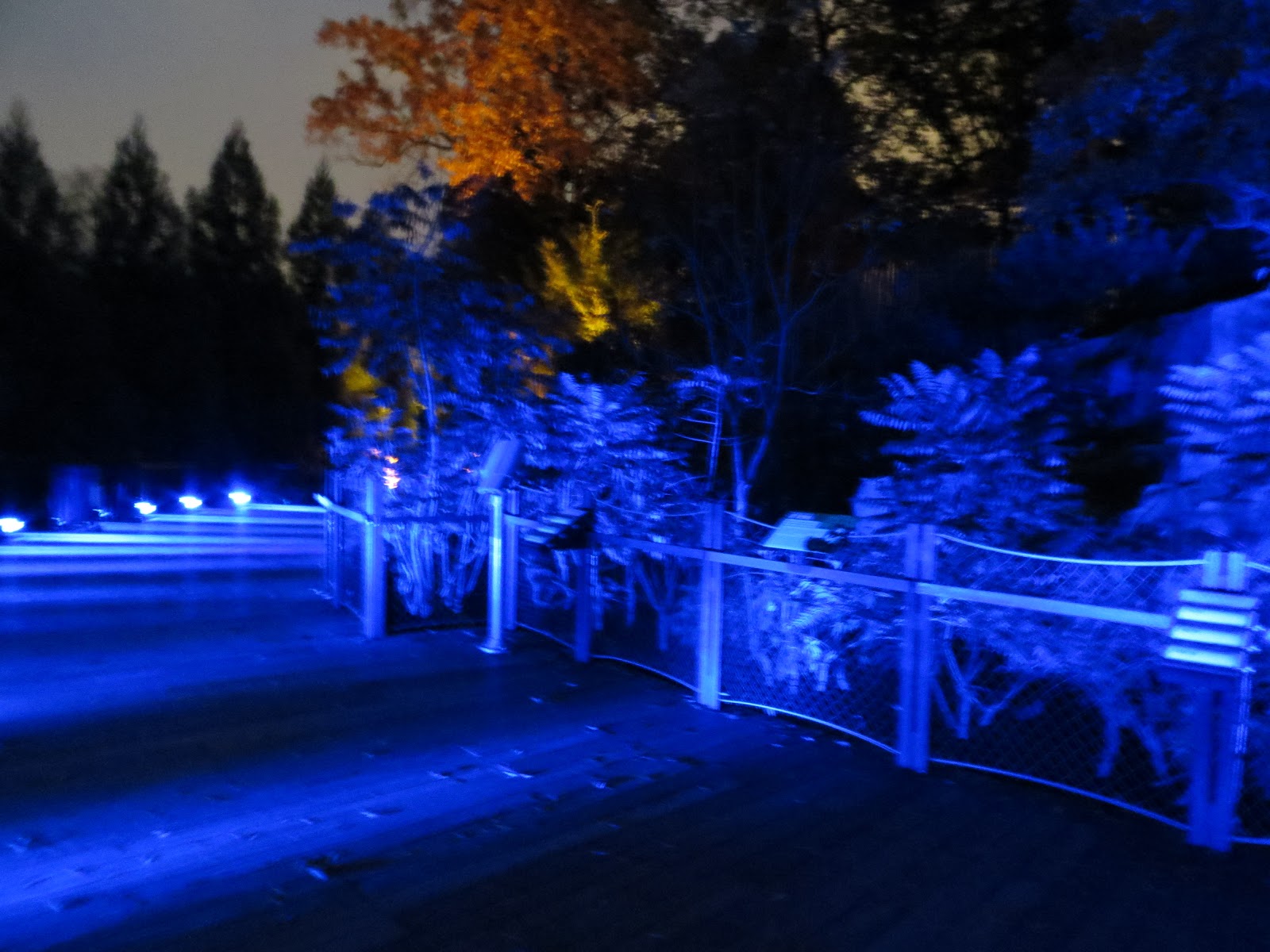 kaleidoscoping chaos...: Spooky Shabbat!