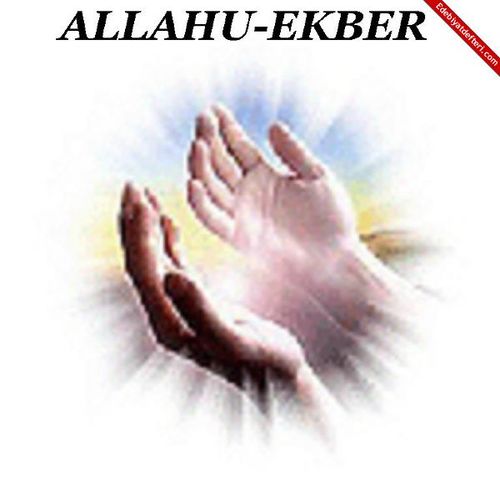 Anita Shala: Feja Islame