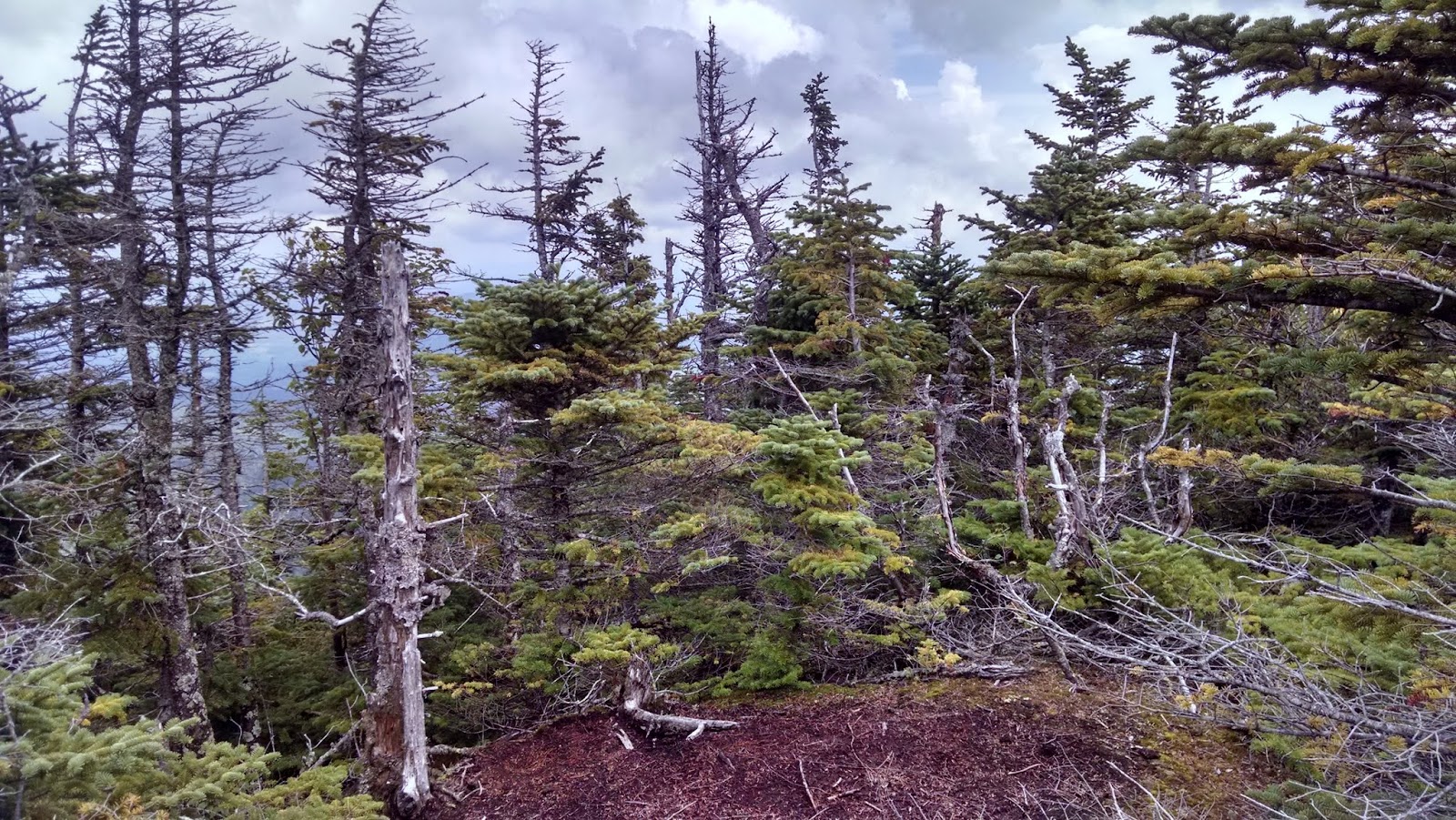 Off on Adventure: Sentinel Mountain (3838') - Sentinel Range Wilderness ...