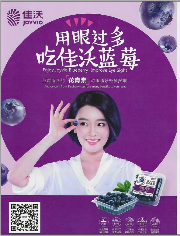 Blueberry FoodTech: Fresh Blueberry Marketing in China