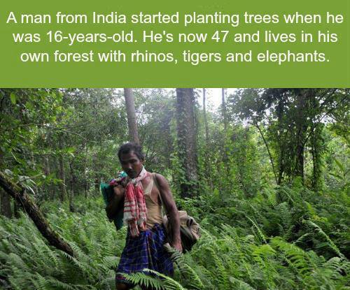 Learning-Living [learning-living.com]: INSPIRING LIVES: JADAV MOLAI ...