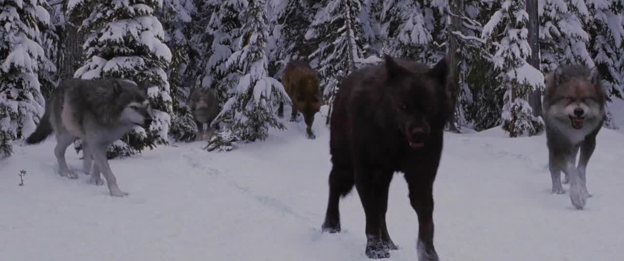 Taliesin meets the vampires: The Twilight Saga: Breaking Dawn Part 2 ...