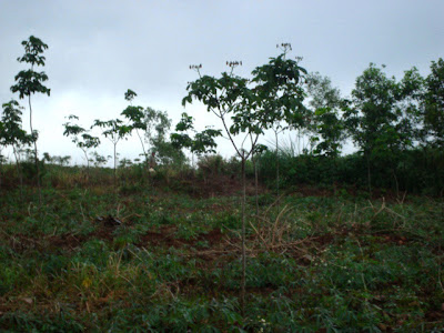 Where the Wars Were: Journey to Vietnam, Laos & Cambodia: DONG HA AND ...