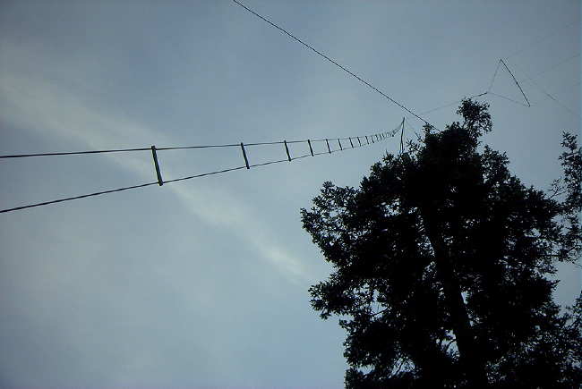 VE7SL - Steve - Amateur Radio Blog: My New 80 / 40m Antenna