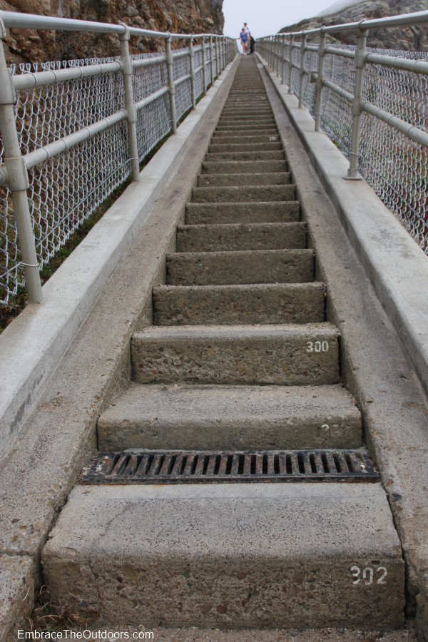 Embrace the Outdoors: Point Reyes Lighthouse