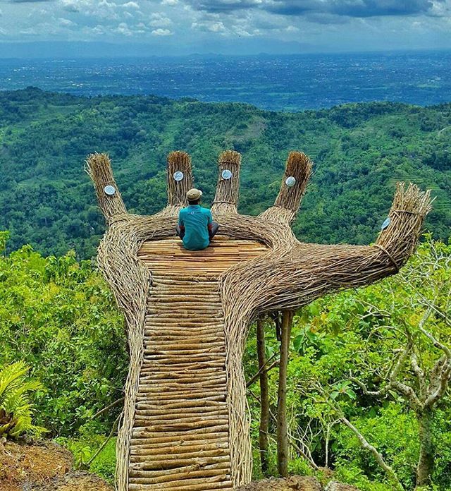 Rekomendasi 4 Wisata Hutan Pinus di Jogja