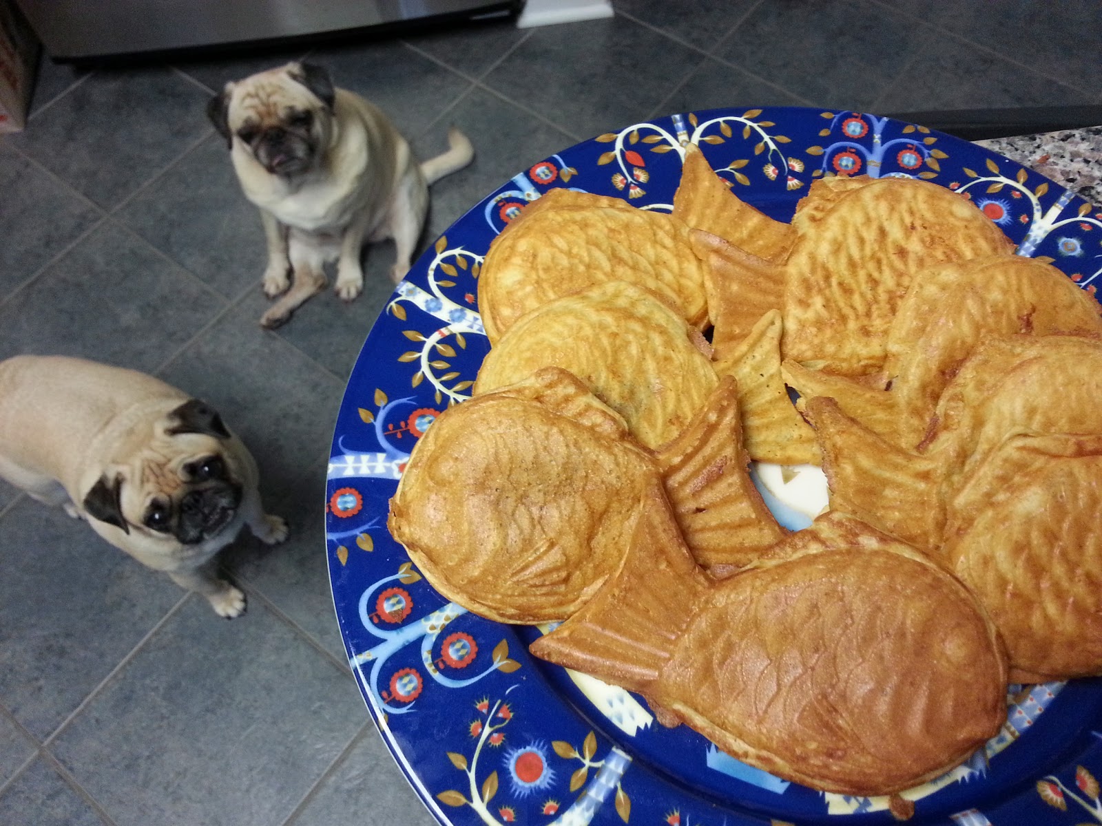 Grubbin' Pugs: Pancakes/Waffles with Dark Chocolate and Coconut Pudding ...