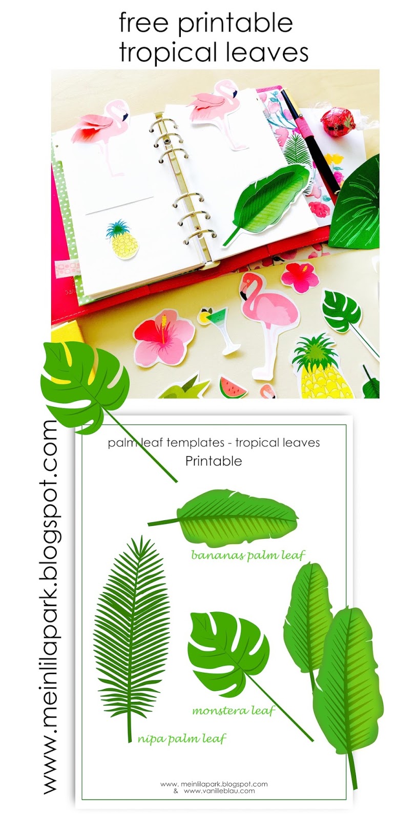 Printable Tropical Leaf Template