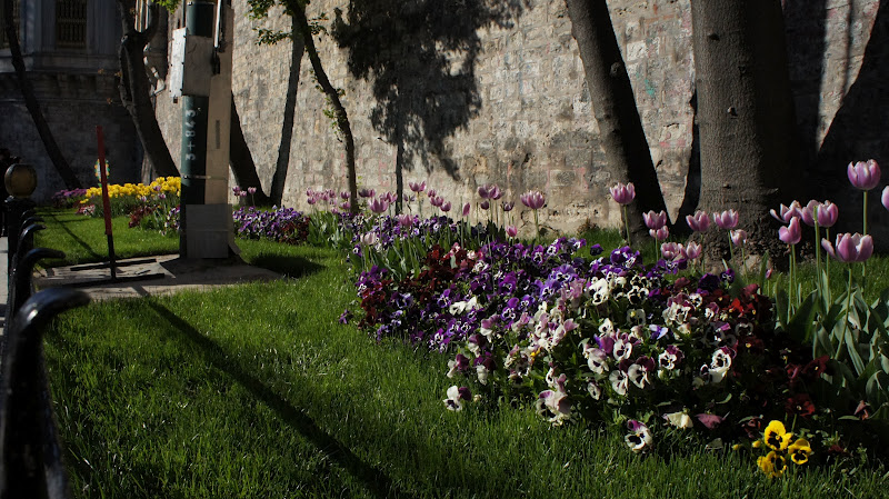 1001 Nights in Istanbul: Istanbul is Blooming - Flowers and Tulips