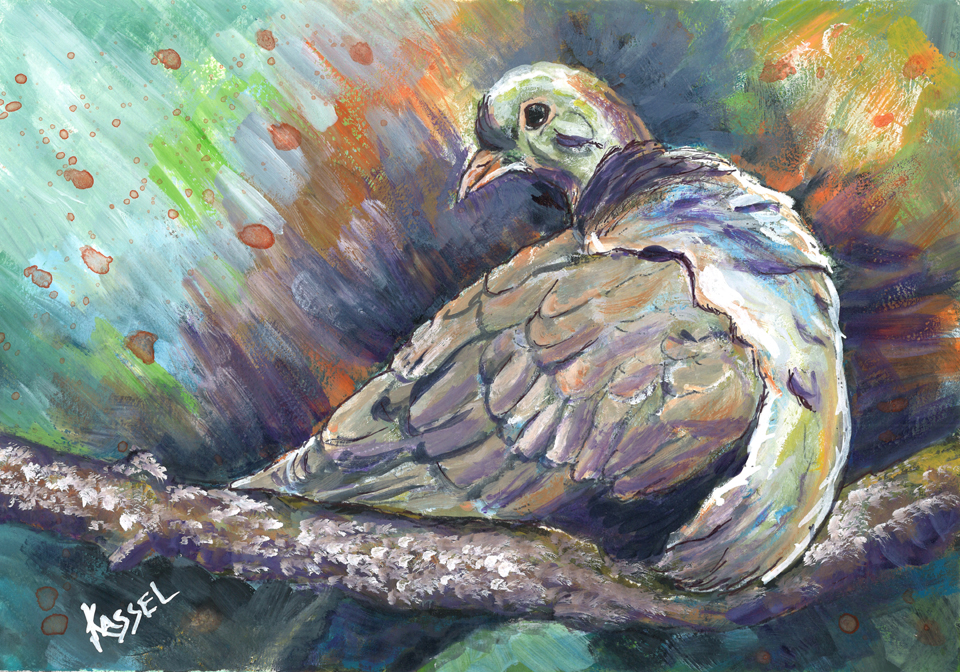 Bill Kassel Fine Art: Finished - Mourning Dove