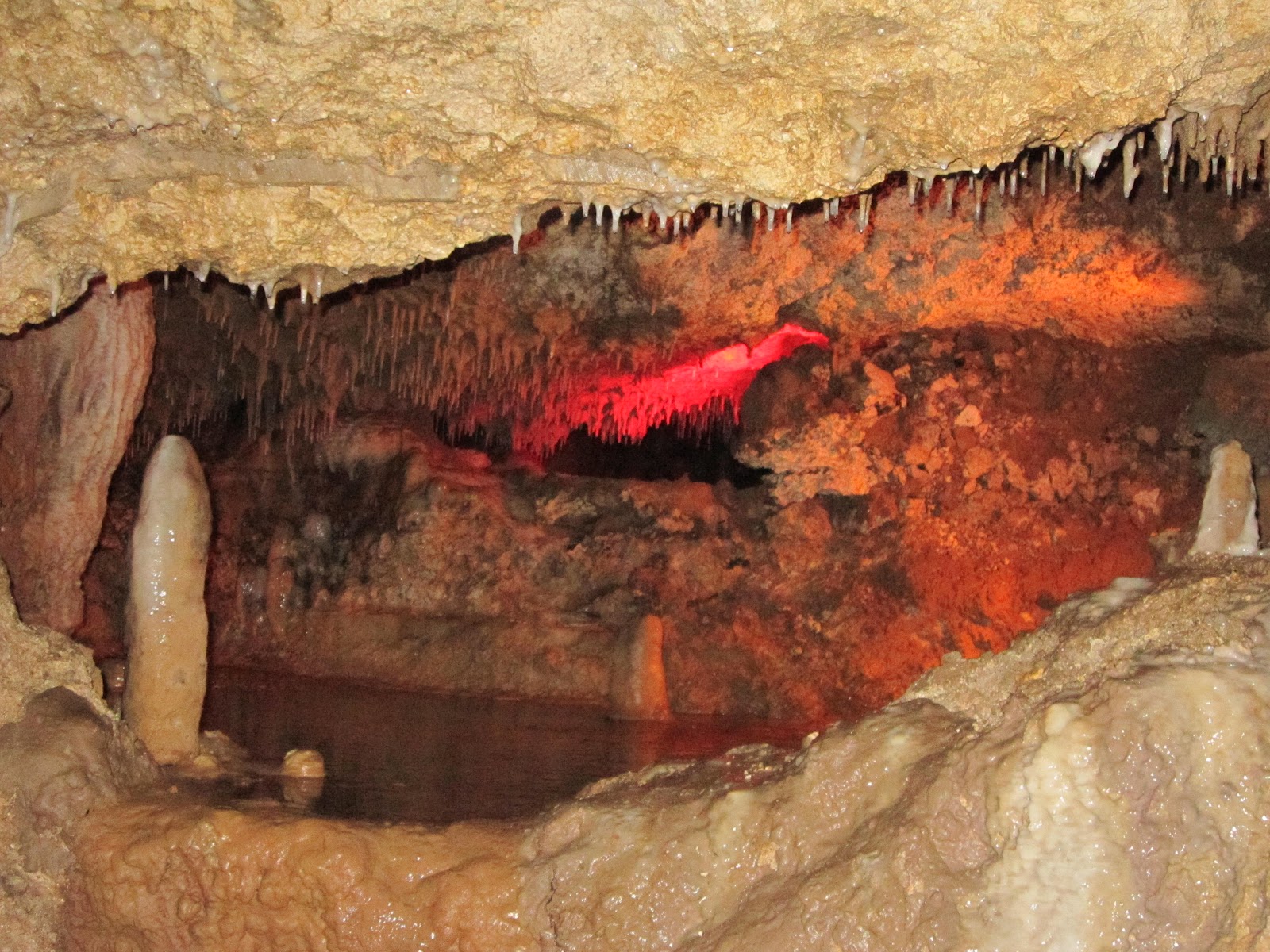 Woodvine's World: Walking through Harrison's Cave