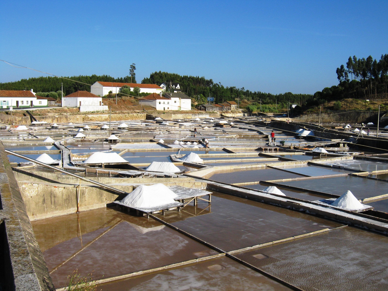 MEUS CAMINHOS RIBATEJO: SALINAS DE RIO MAIOR EM PLENA ÉPOCA DE EXTRAÇÃO!!!
