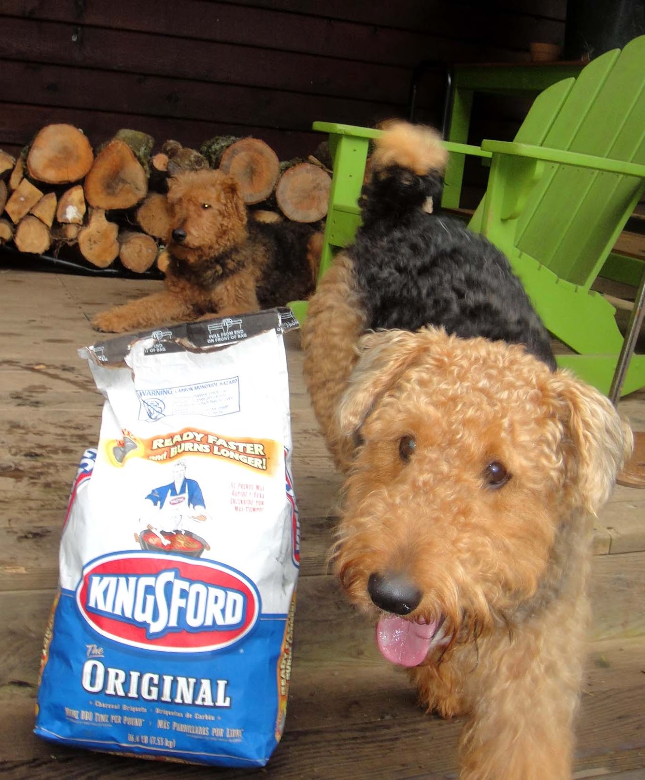 Gardening with Wyatt: Diamonds in the Ruff