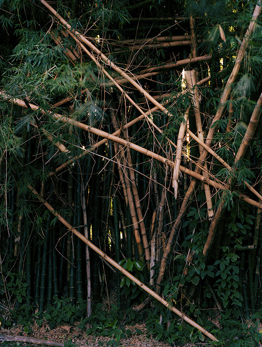 fototazo: Interview: Genesis Báez