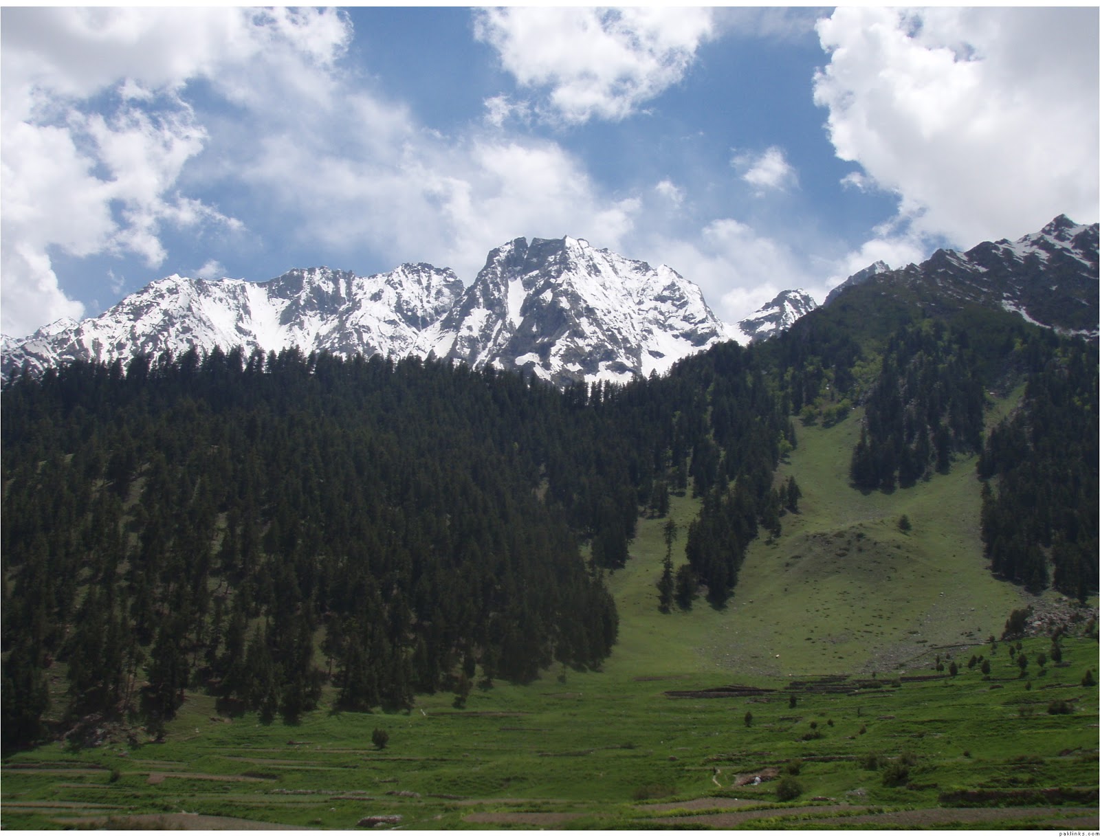 Pictures Folder of Gilgit Baltistan : Naltar Valley - Gilgit, Gilgit ...