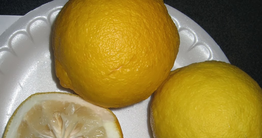 Hardy Citrus: Ichang Lemon