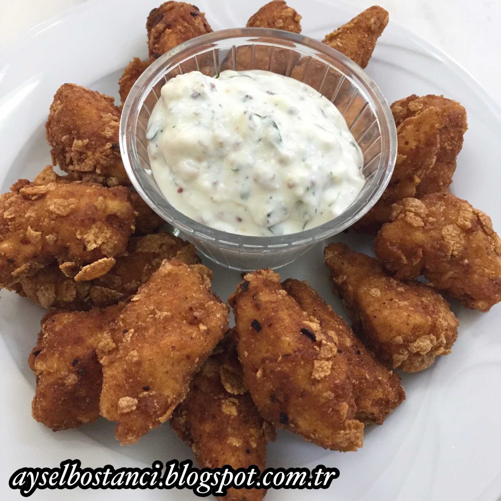 Aysel'in Mutfağı: NUGGET