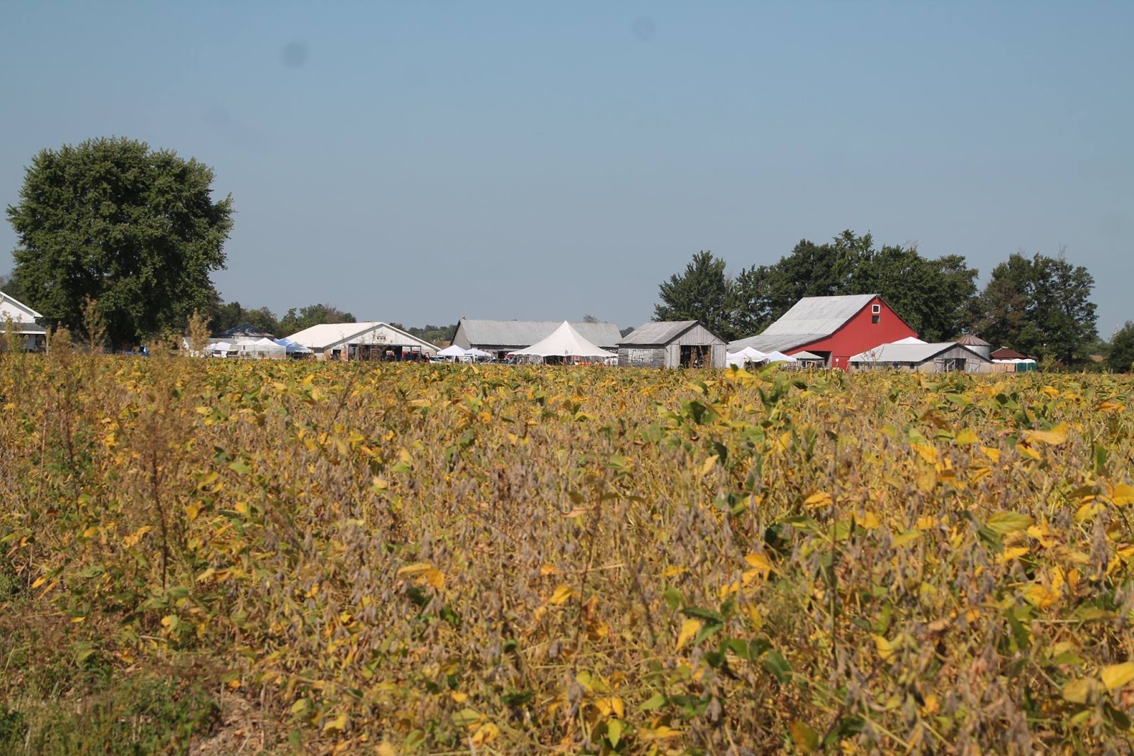 Hen and Chicks Barn Market