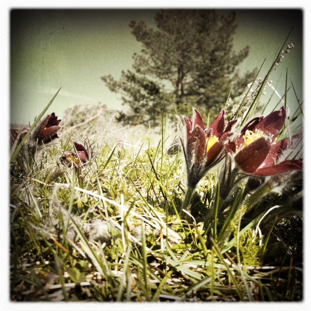 Peter Trajkovski. Train/Refuel/Recover/Repeat