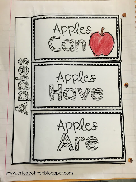 Apples Theme in First Grade