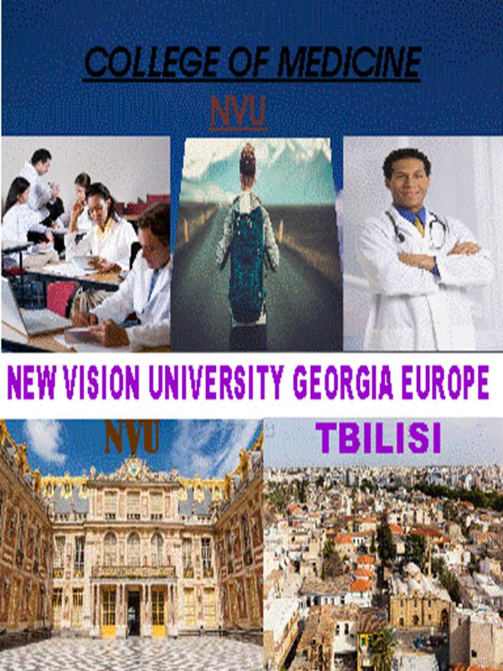 JOSHUA GOLDEN EMINENT: NEW VISION UNIVERSITY GEORGIA EUROPE