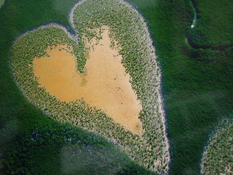 Art Photographique_______: Yann Arthus-Bertrand