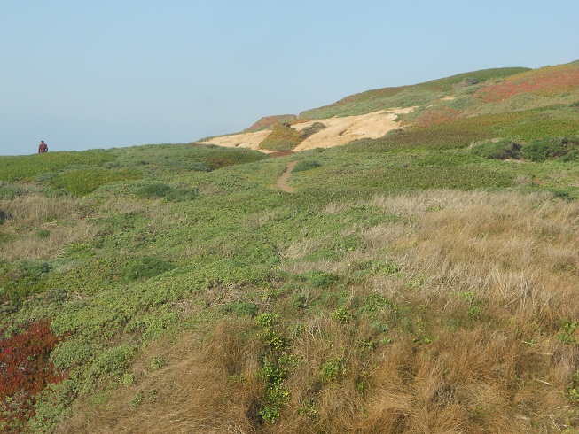 Coastal Hiking / California Coast Region | Western Trips