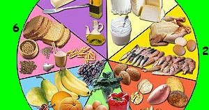 PLE ELS ALIMENTS: QUÈ ENS APORTEN ELS ALIMENTS?