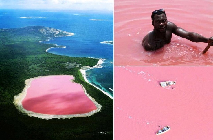 Conheça 8 fascinantes lagos cor-de-rosa do mundo ~ Dose de Sustentabilidade