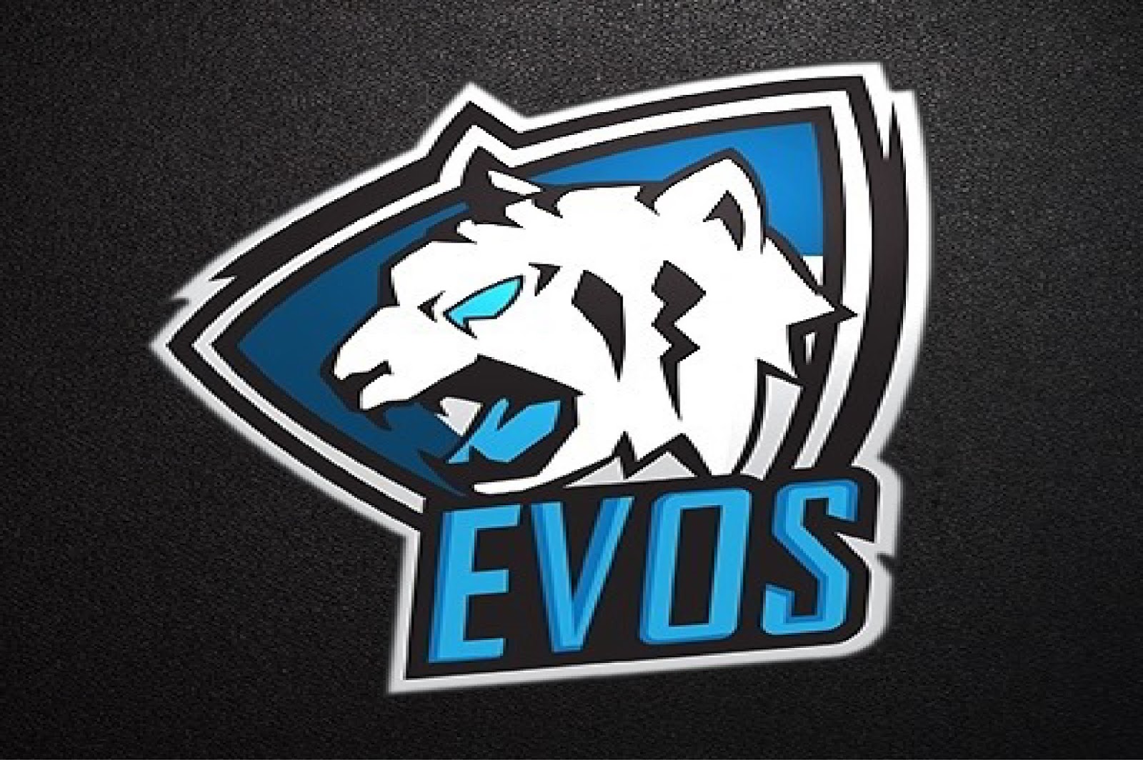 All things about E-sport [INA]