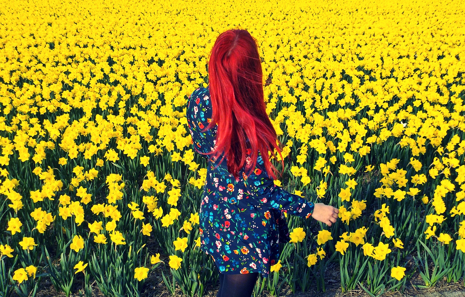 * Freak Muffin *: Outfit: Toukokuu