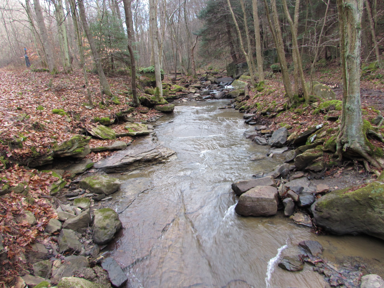 Roaring Run Natural Area, Apollo, PA | Interesting Pennsylvania and Beyond