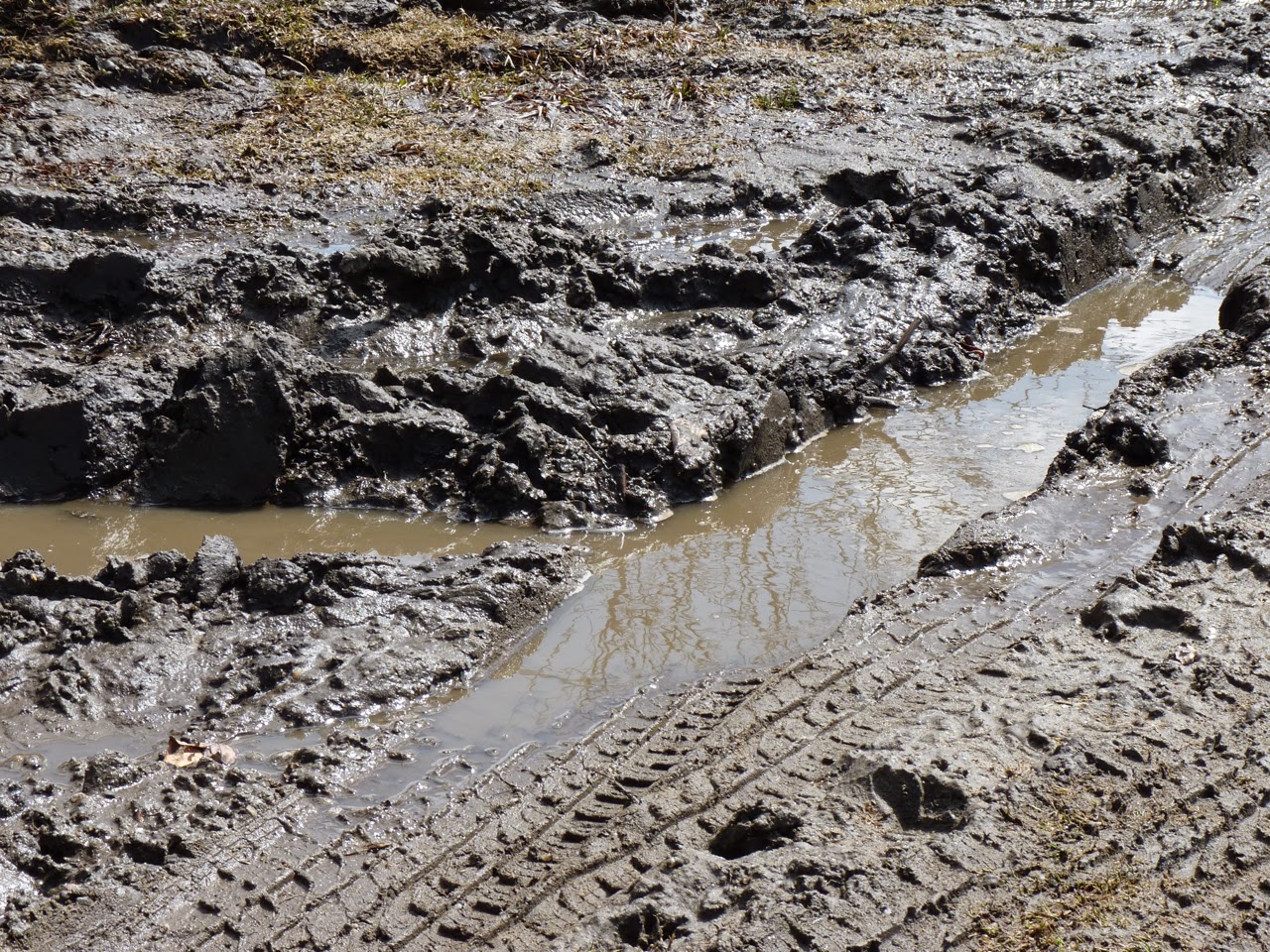 Post Muds Of Yourself Xnxx Adult Forum