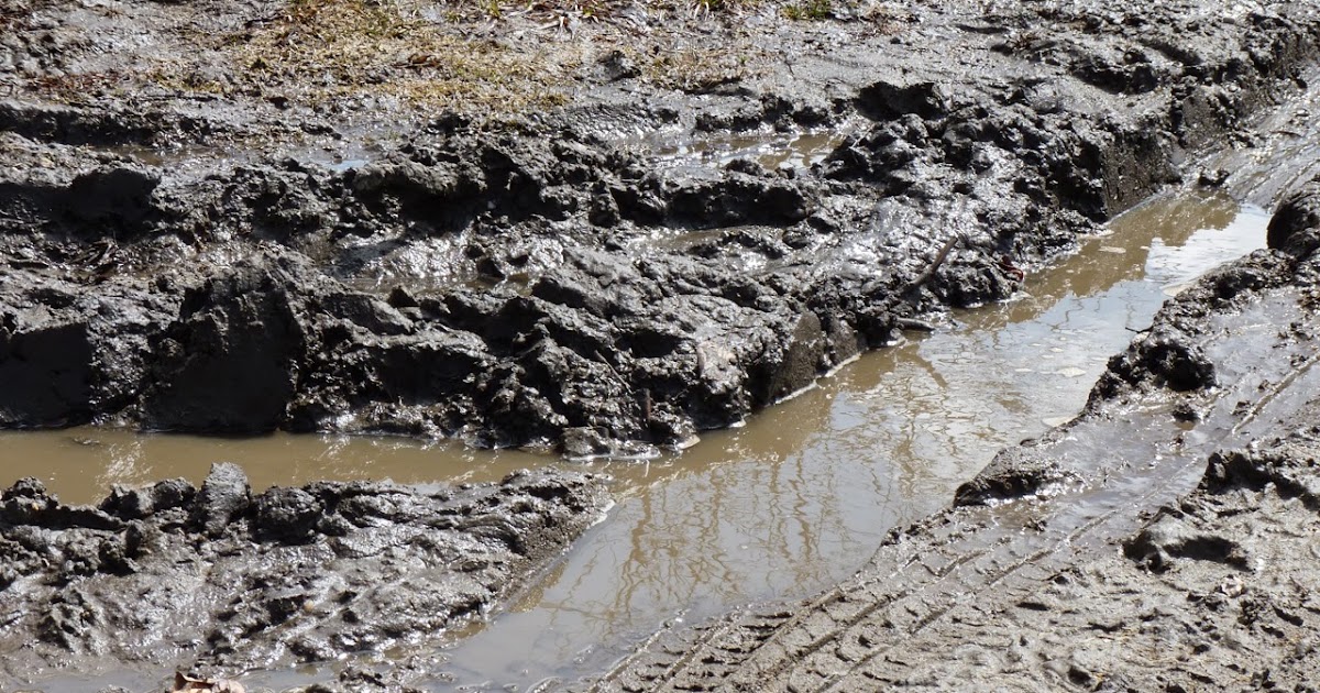 Tips para conducir en el lodo « #AUTOFAME Blog