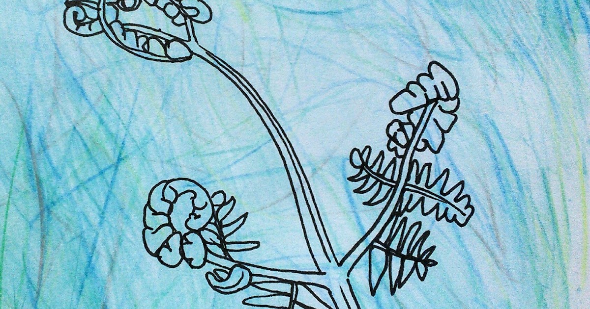 Create A Drawing A Day: Fern