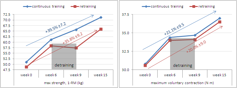 Training, Detraining, Retraining: Build Bigger and Stronger Muscles by ...